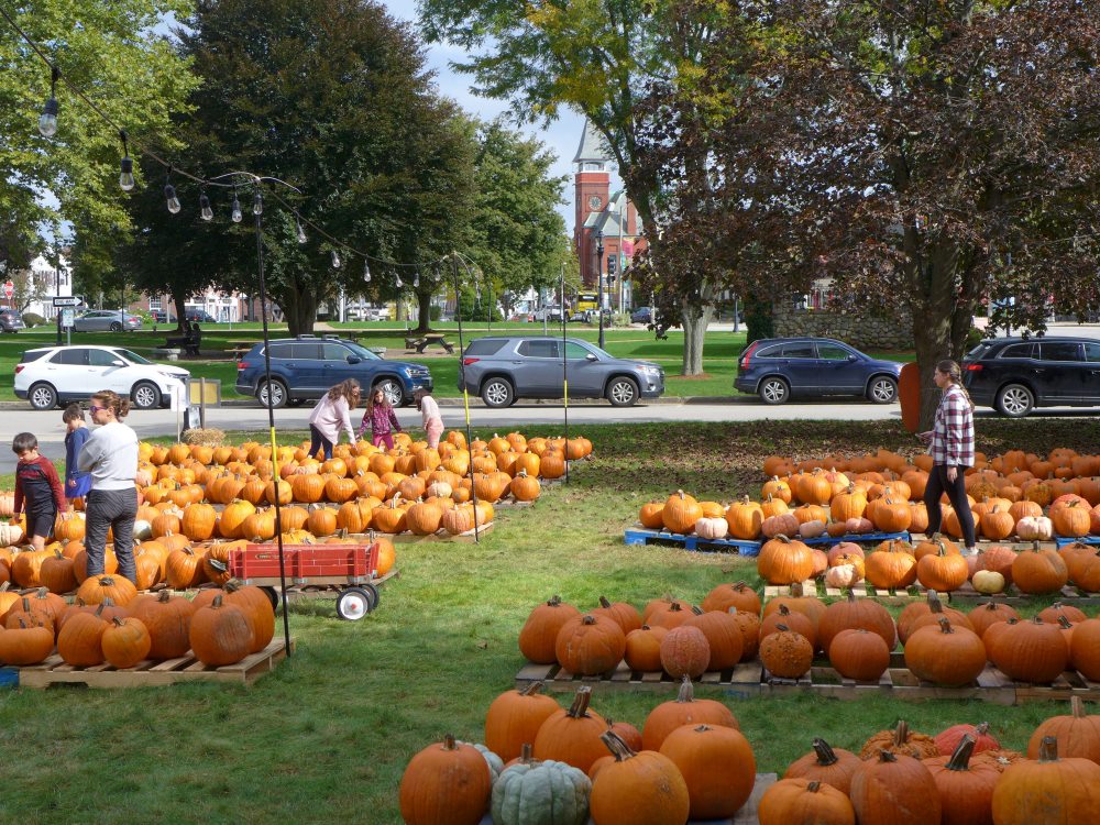 Selling Pumpkins for a Great Cause in Walpole, Mass. - VisitingNewEngland